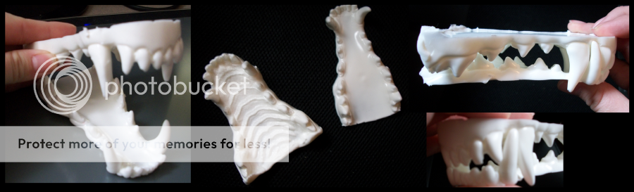 Taxidermist Wolf Jaw - Replica bidding: fursuitauctions — LiveJournal