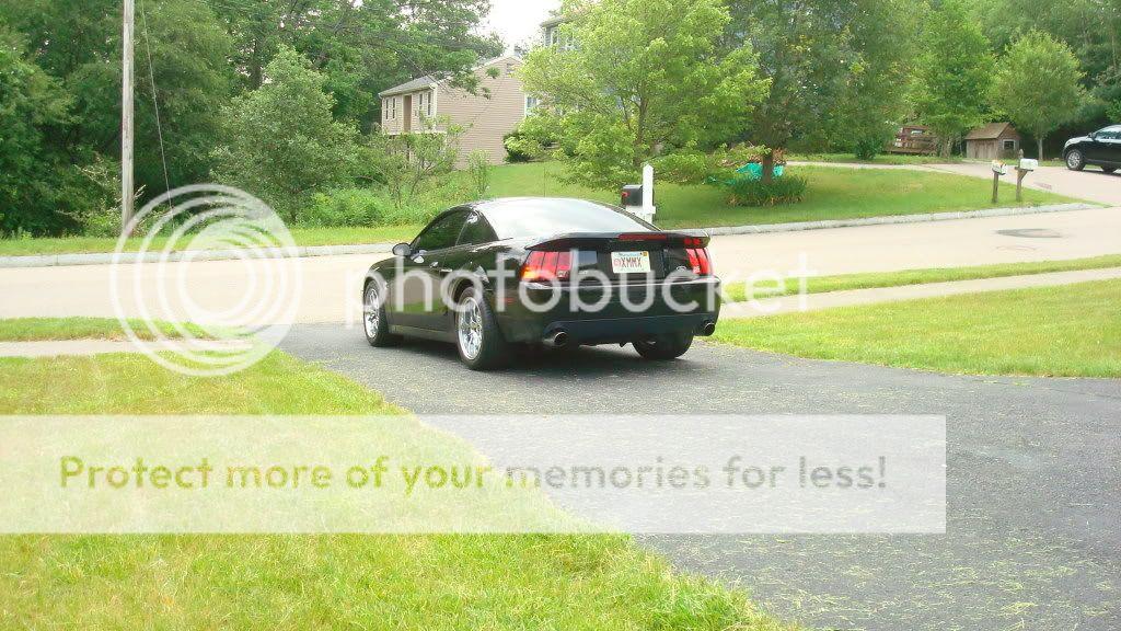 03 cobra rear bumper, shave or dont shave letters? | Ford Mustang Forums